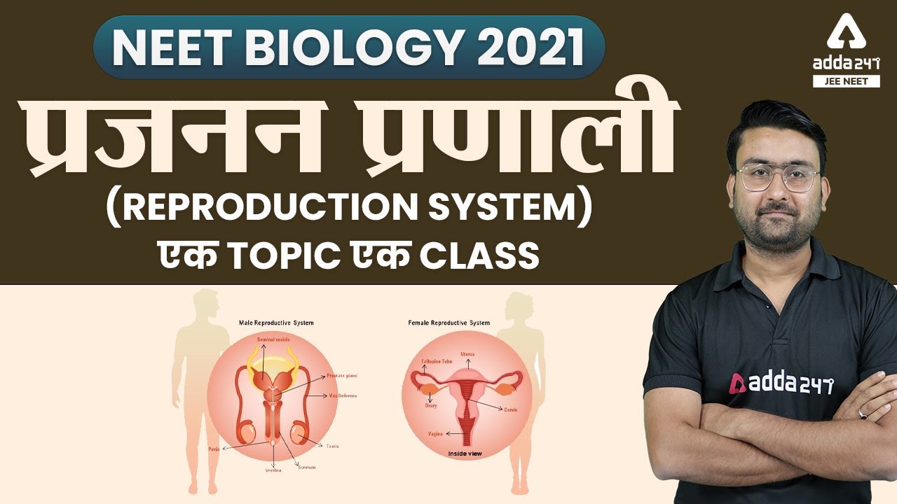 Human Reproduction Class 12 One Shot | प्रजनन तंत्र | NEET 2022 - YouTube