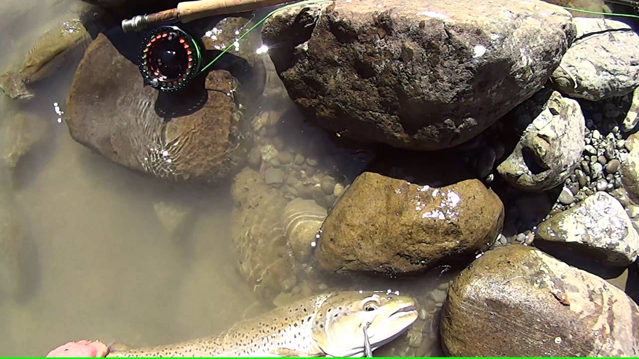 New Zealand Ruakituri Experience - YouTube