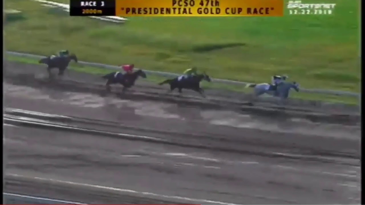 2019 PCSO PRESIDENTIAL GOLD CUP OFFICIALLY WINNER (SUPER SONIC) - YouTube