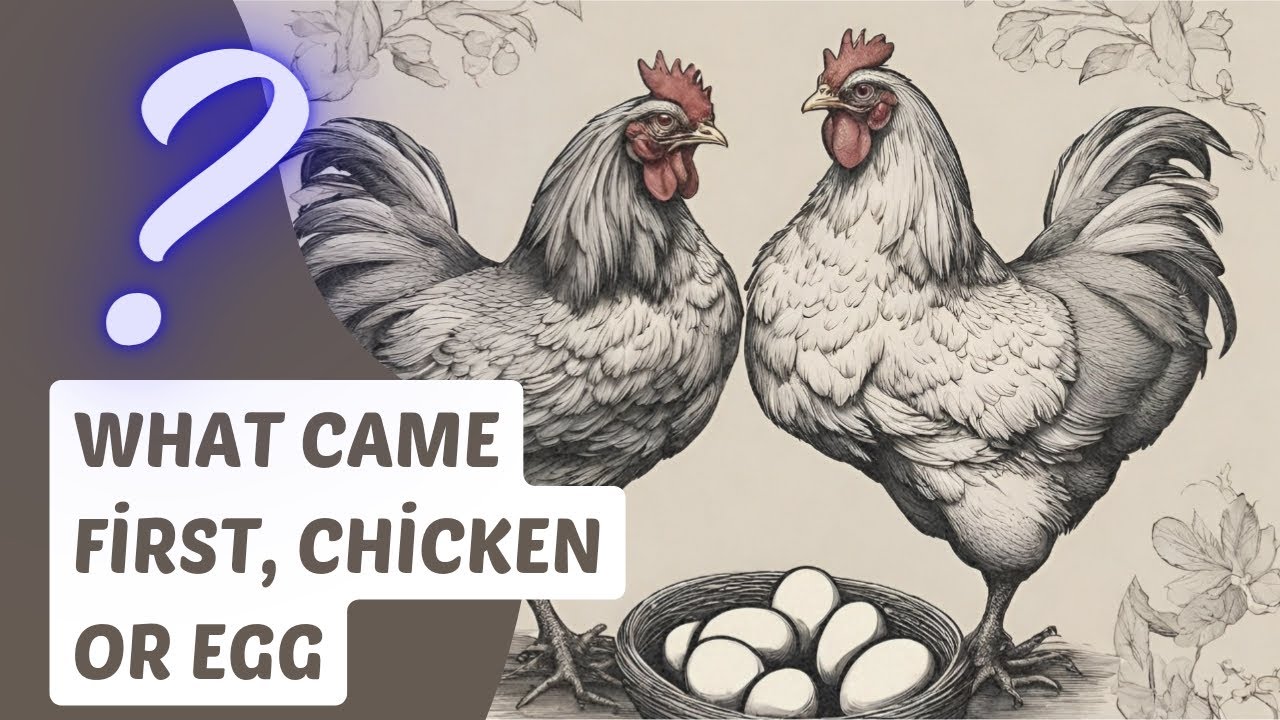 what came first the chicken or the egg ? - YouTube