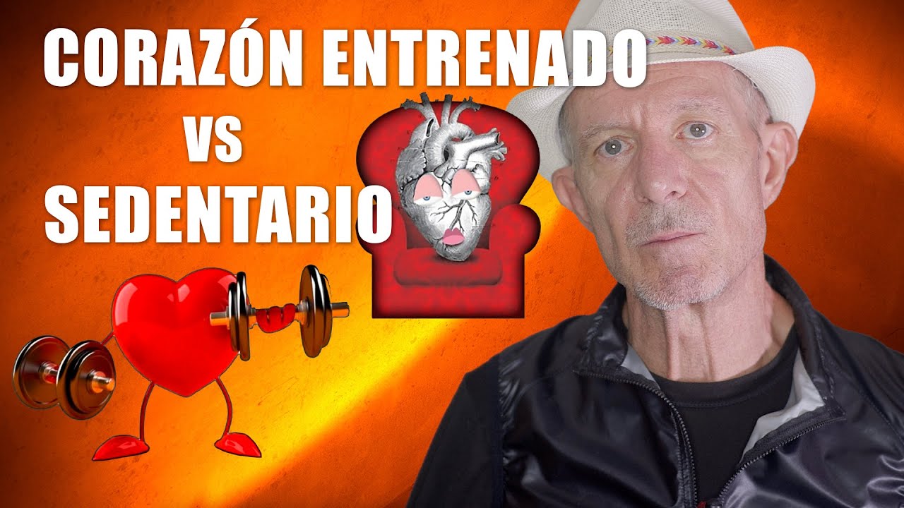 Corazón entrenado vs corazón sedentario - YouTube