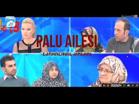 Palu Ailesi Son gelişme