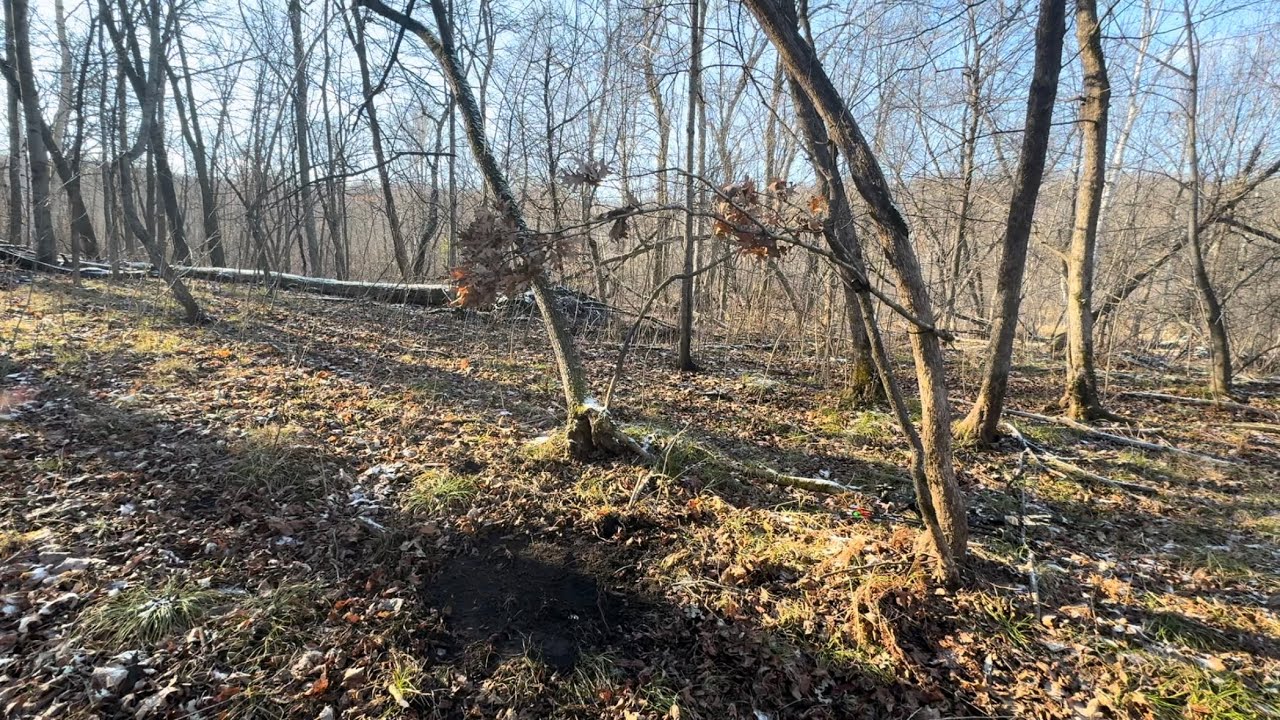 The Best Natural Mock Scrape Setup - YouTube