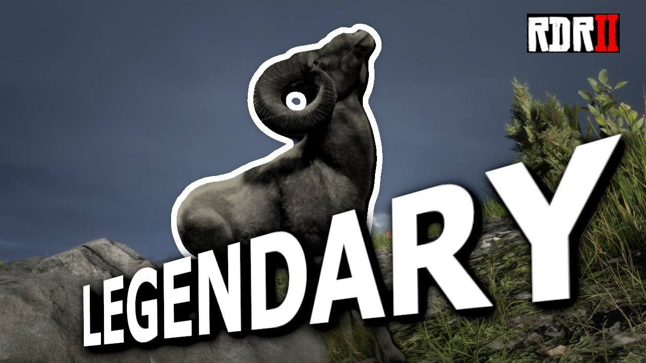STEP BY STEP | Rdr2 Legendary Bighorn Ram Hunt - YouTube