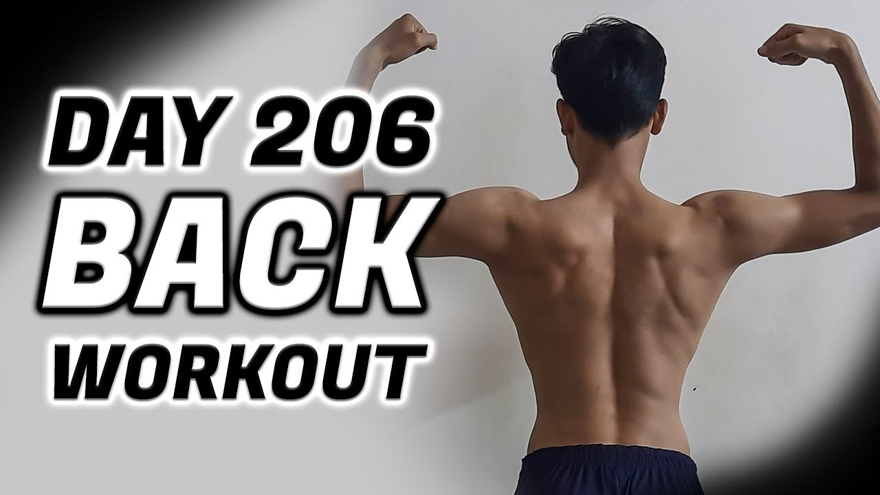 Day 206 | Back Workout at Home with Dumbbells | Strengthening Back ...