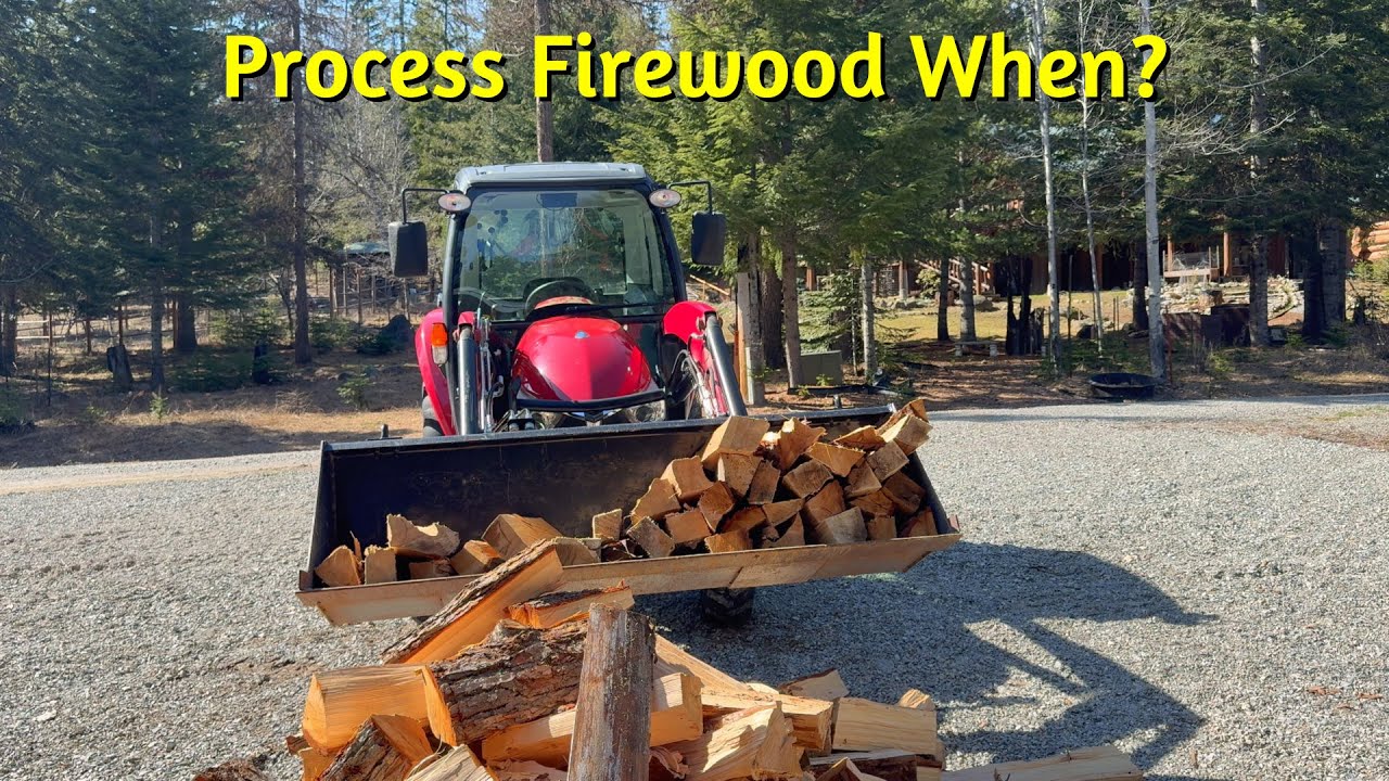 The 2nd Best Day to Process Firewood - YouTube