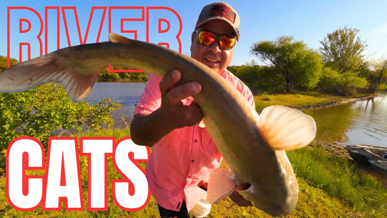 Catching River Cats in the TRINITY (#wetlifestyle) - YouTube