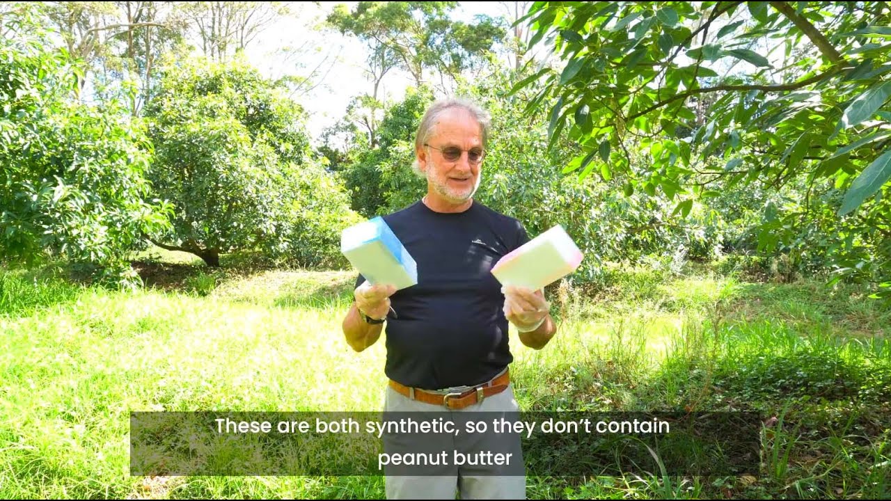 How to monitor possums and other pests using Chew Cards | Connovation ...