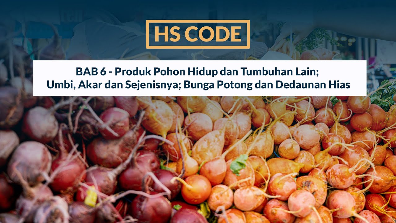 NGAJI HS CODE BAB 06 - PRODUK POHON HIDUP DAN TUMBUHAN LAIN, UMBI, AKAR ...