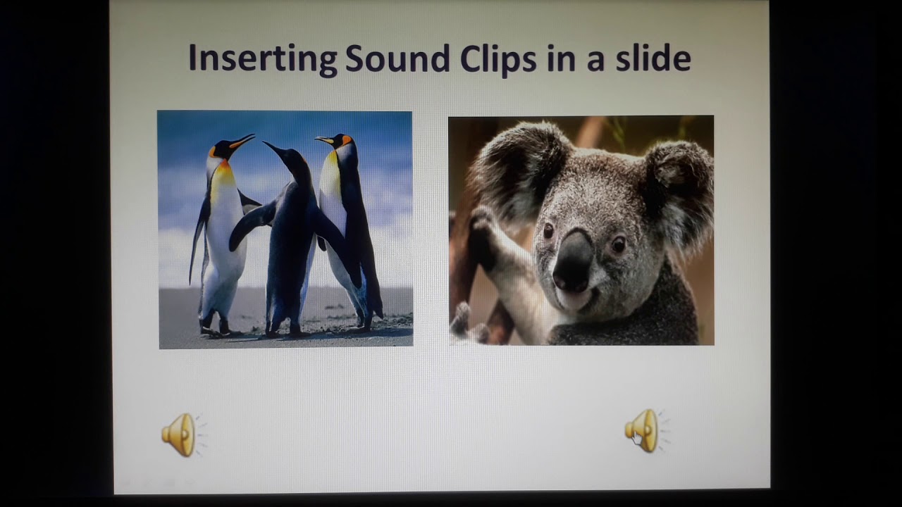 VI: CH-5_PART-2: Inserting Sound Clips and Video clips in a slide - YouTube
