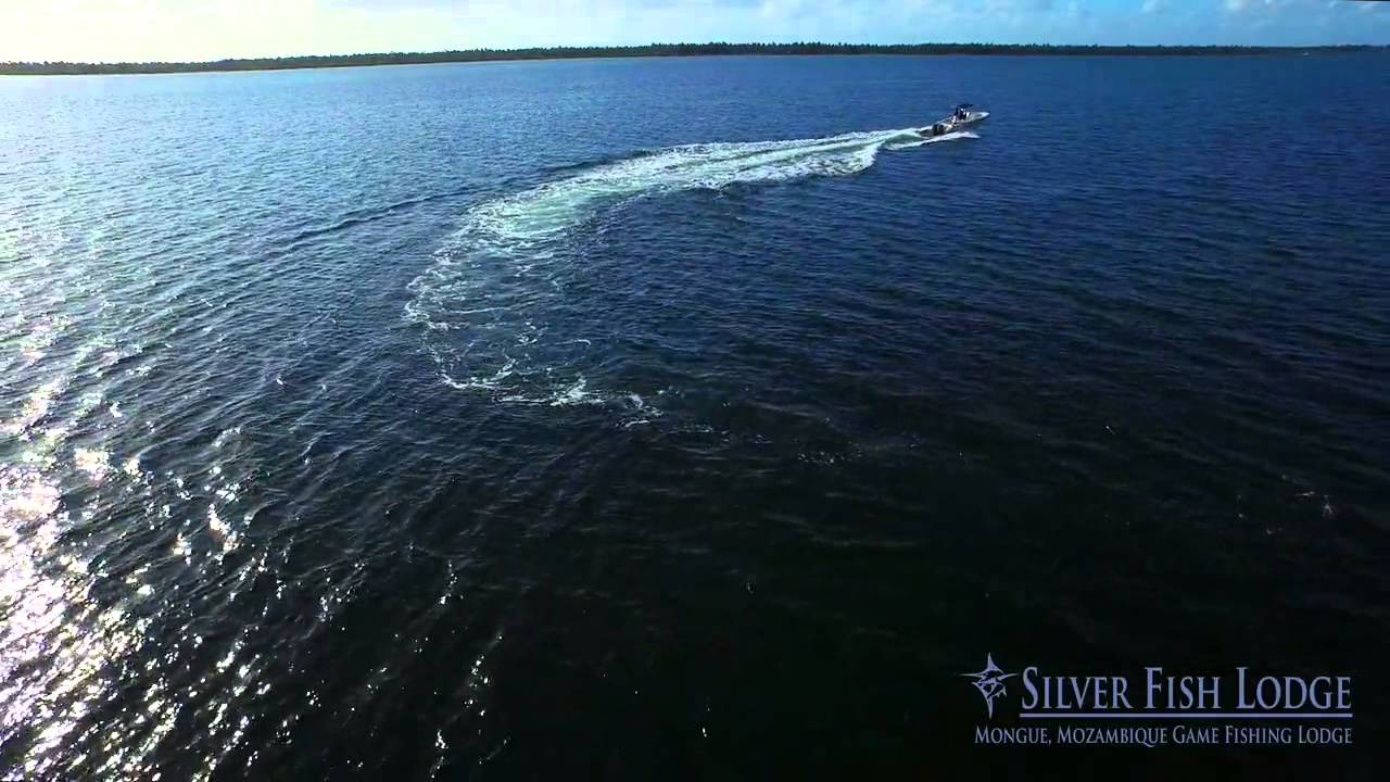 Bassas Da India Shipwrecks