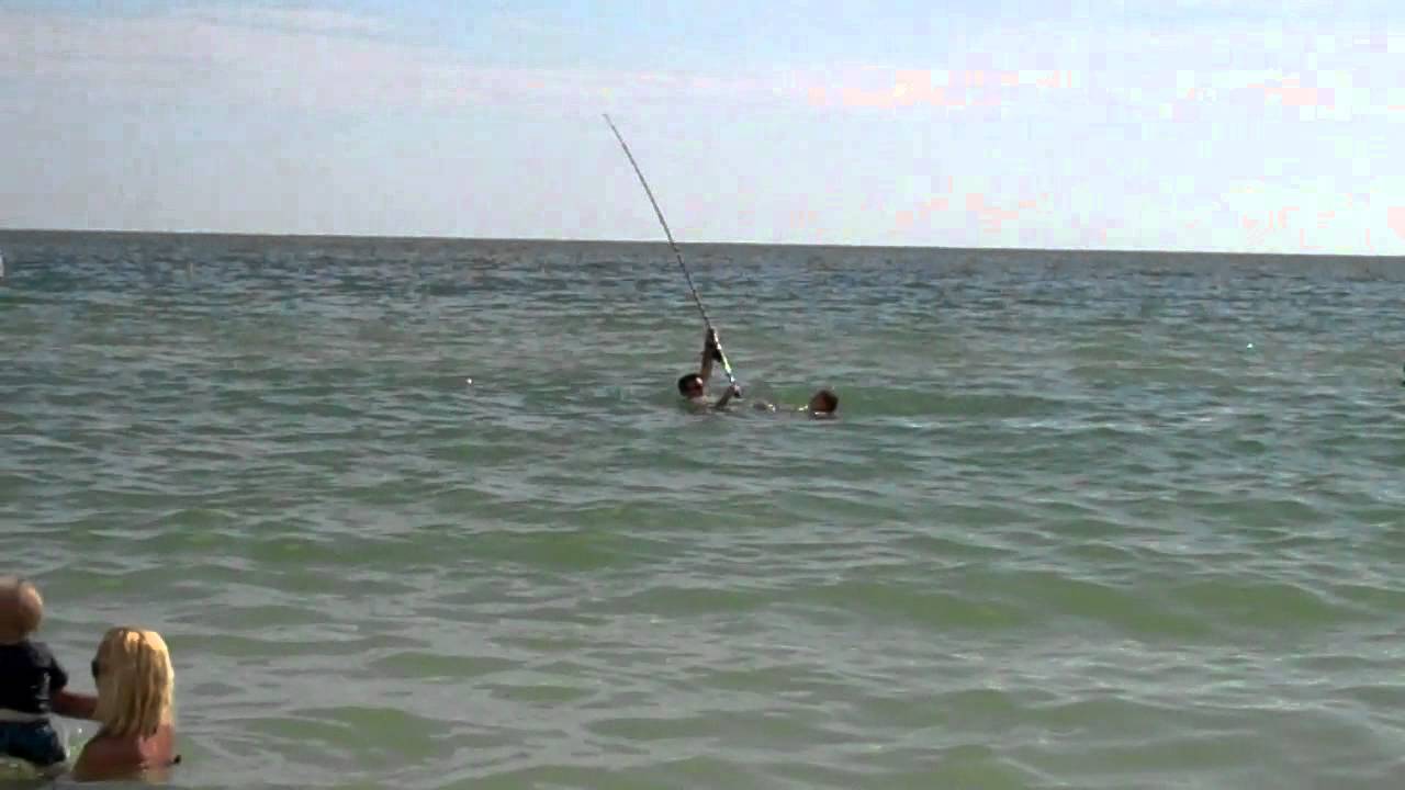 Catching big stingrays on a surf rod in Tampa FL. - YouTube