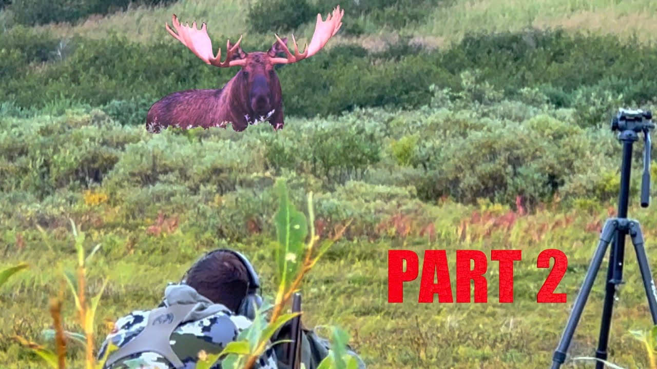 1 MOOSE DOWN, 2 MORE TO GO!!!! Moose Hunting w Friends Part 2 - Stuck N ...