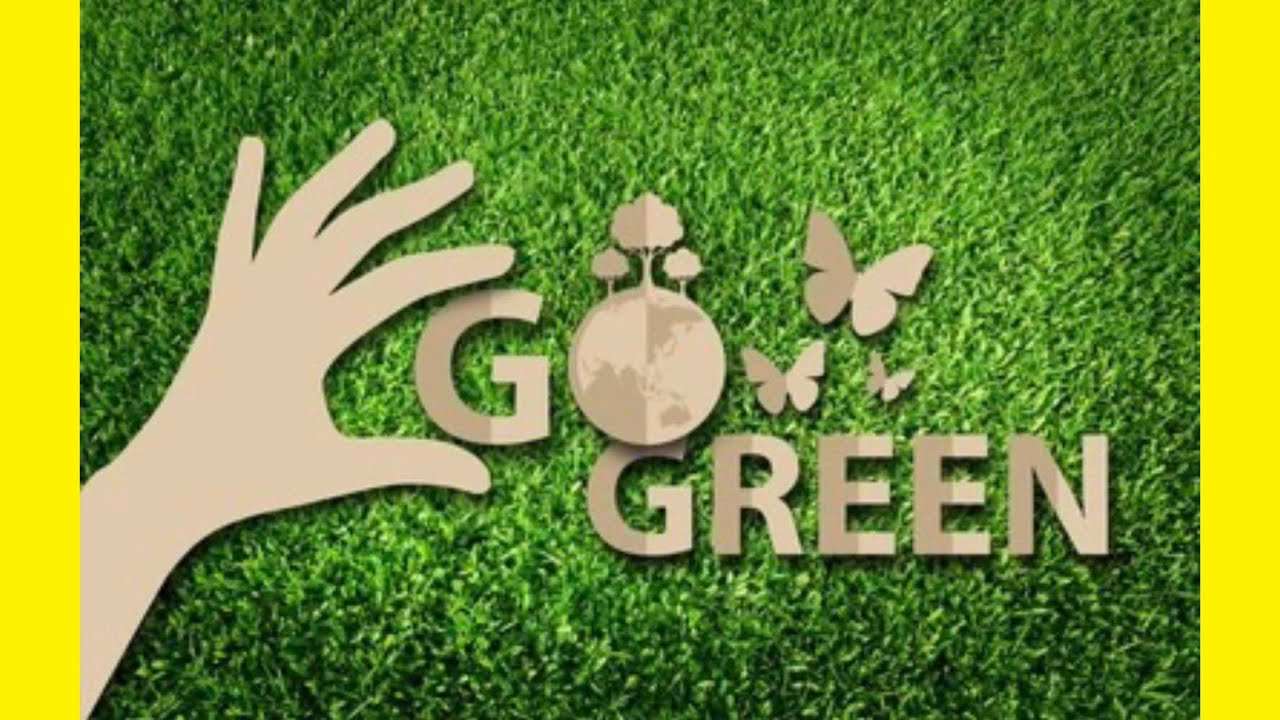 Go green | fun quiz to find out how eco-friendly you are & help save ...