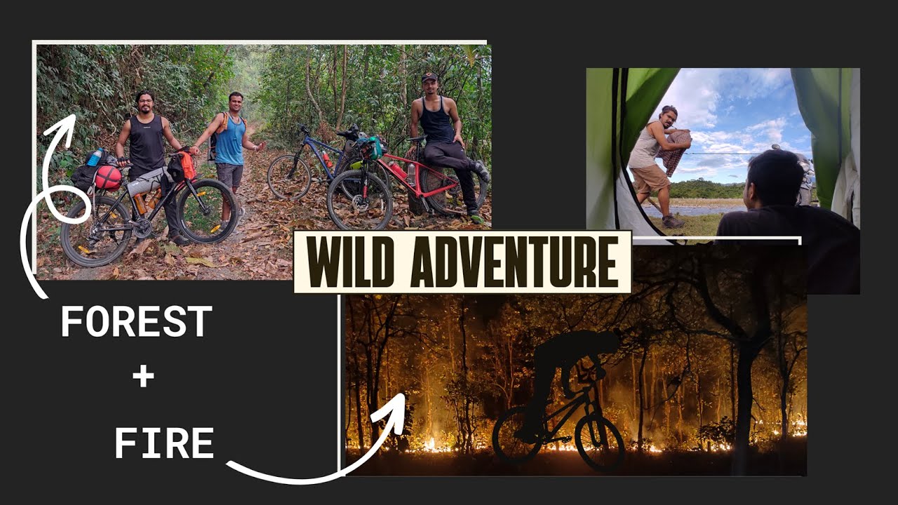 Abandoned Road via Eaglenest Wildlife Sanctuary|Chinese military ...