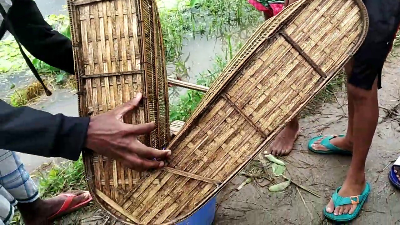 Fish Hunting after Amfan/Amphan Cyclone - Traditional Village fish trap ...