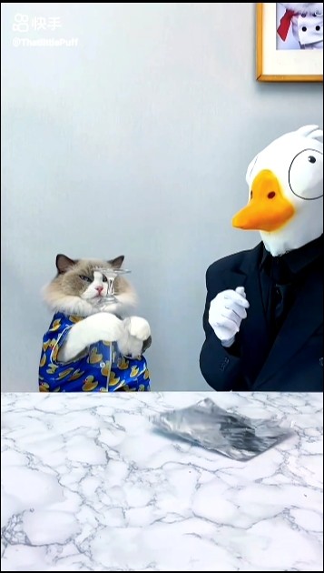 Cute baby cat 🐈😺🐈 making projector - YouTube