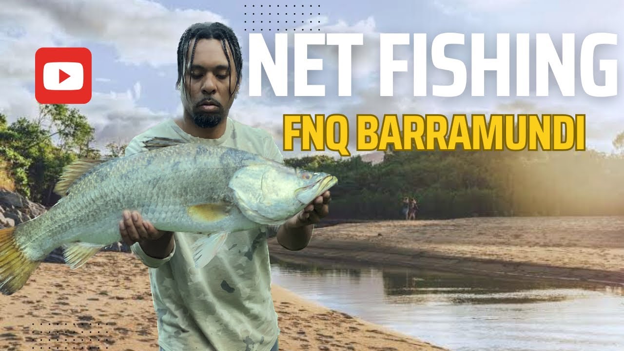 Net Fishing For Barramundi FNQ FISHING (EP.2) - YouTube