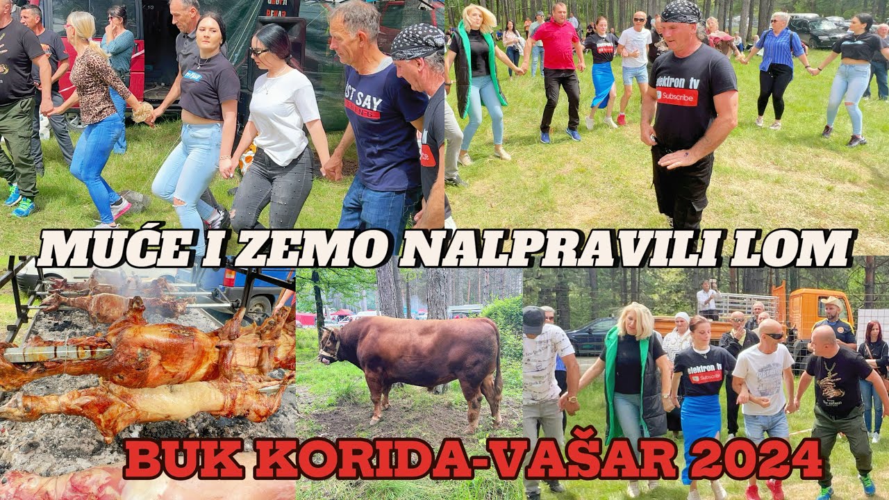 ZEMO KRALJ I ŠAMPION MUĆE PRAVE LOM U KOLU NA VAŠARU / BUK-OLOVO 2024 ...