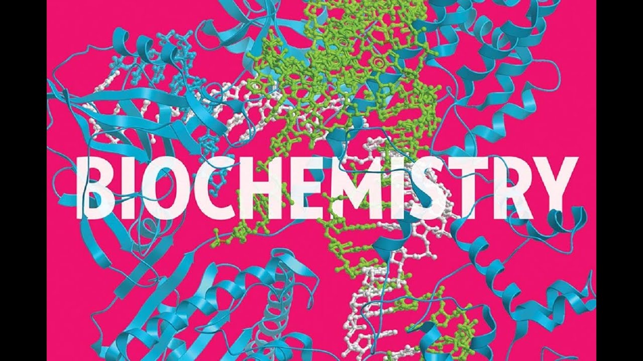 Which Is The Best Book On Biochemistry Biochemistry Textbook which-is-the-best-book-on-biochemistry-biochemistry-textbook