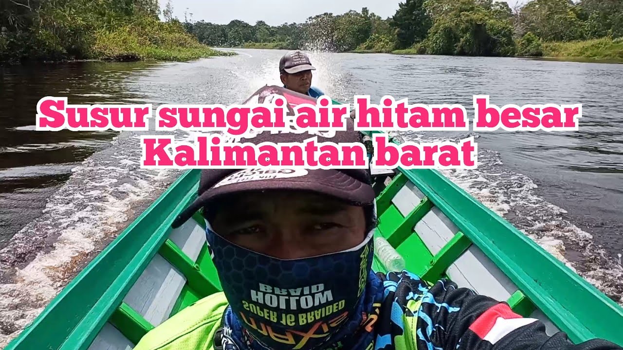 susur sungai air hitam besar Kalimantan barat @38 #hutanborneo #kelotok ...