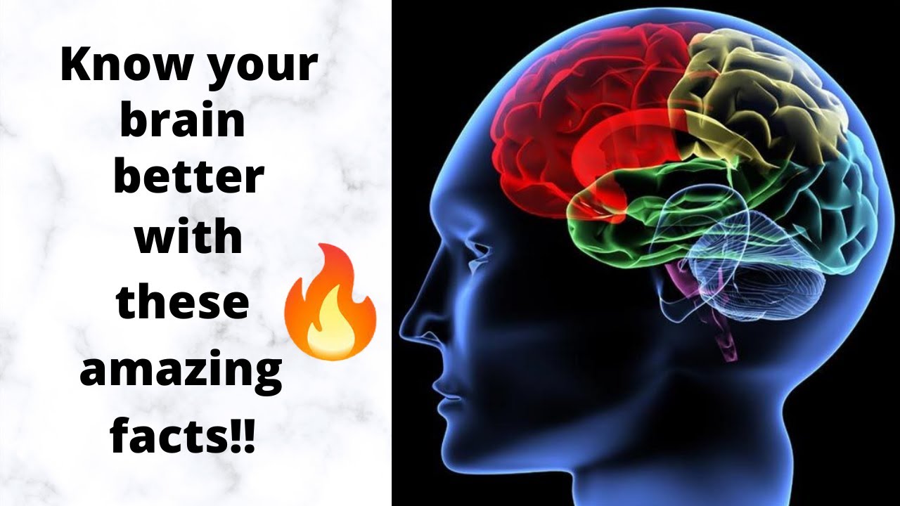 Stunning psychological facts. know your brain better. - YouTube