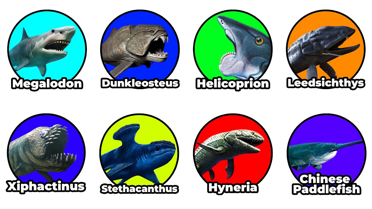 Every Extinct Fishes Explained in 8 Minutes - YouTube