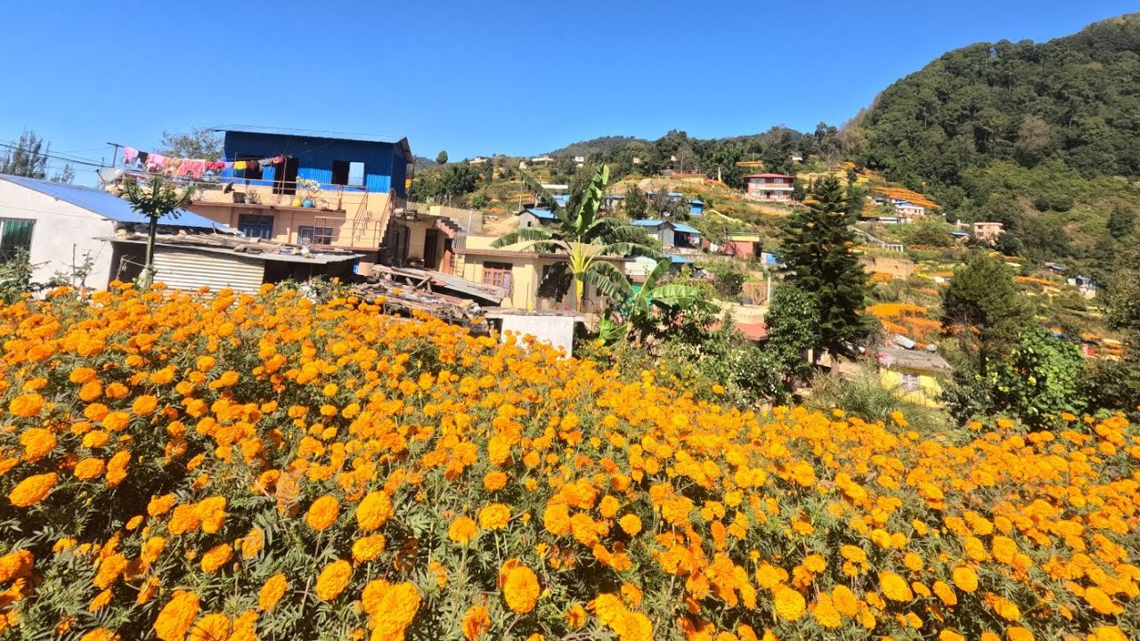 Most Beautiful View in Nepal | World Most Beautiful Country Nepal ...