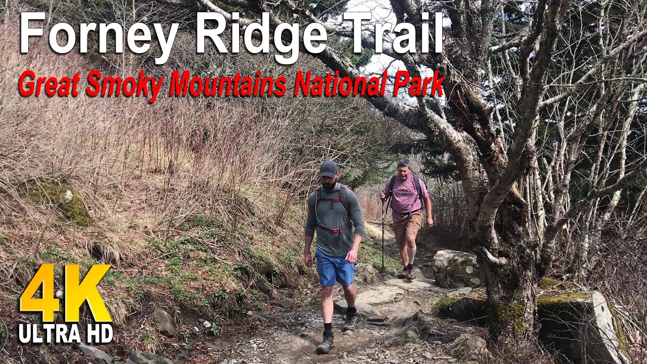 4K - Hike Forney Ridge Trail, Great Smoky Mountains National Park - YouTube