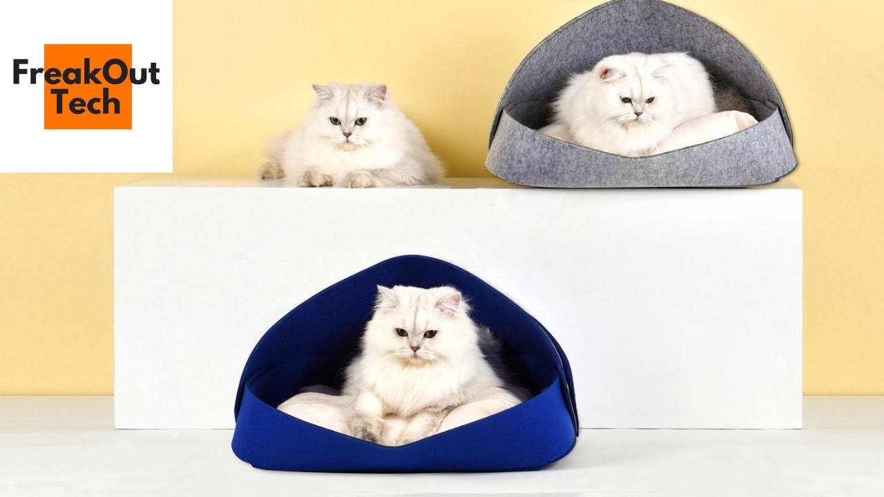 5 Amazing Cat Inventions You Never Knew About - YouTube