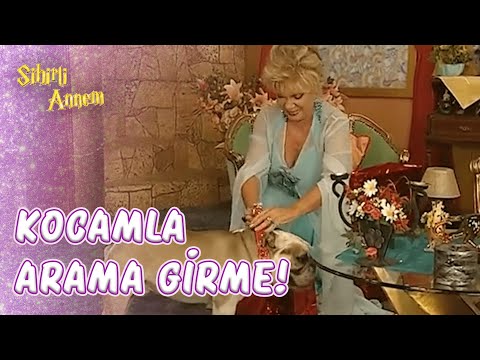 Dudu Peri, Sihir Mağazasından Taci'yeYeni Ciciler  Alıyor!  - Sihirli Annem 68.Bölüm