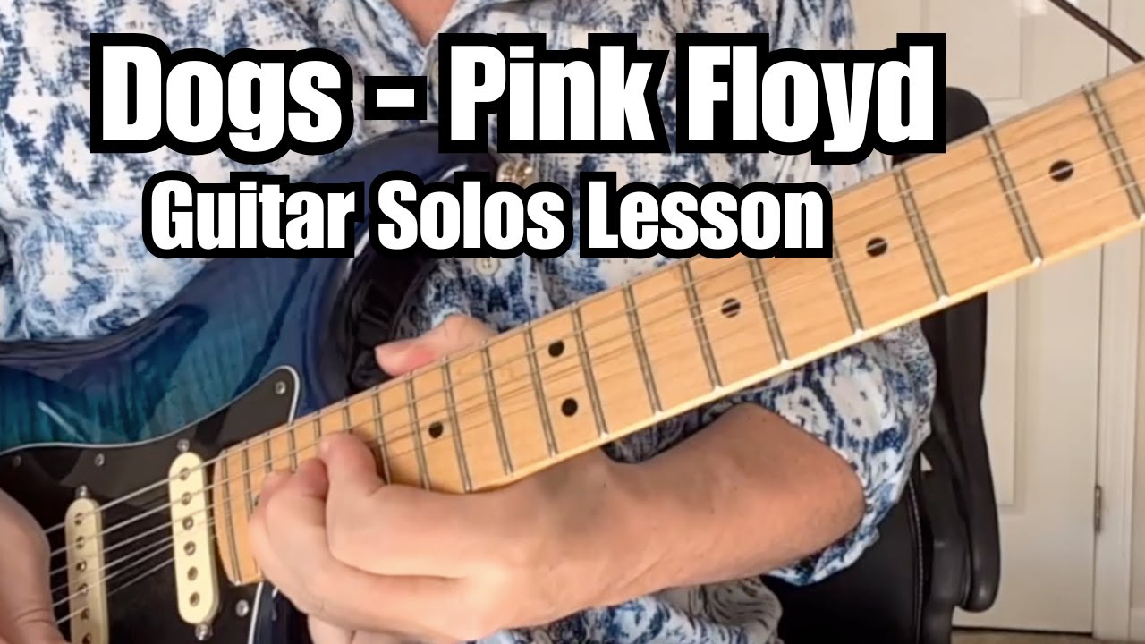 PINK FLOYD Guitar Lesson DOGS Guitar Solos (ANIMALS Album) - YouTube