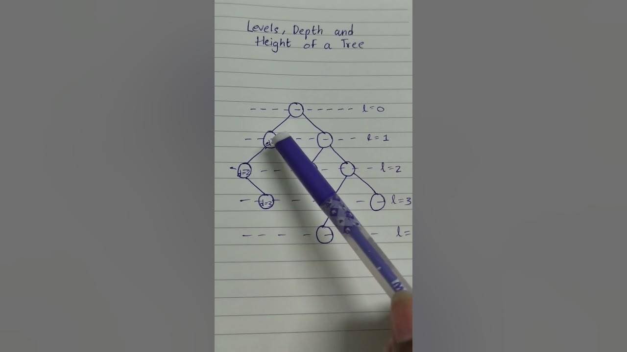 Levels, depth and height of a tree | Tamil | DSA - YouTube