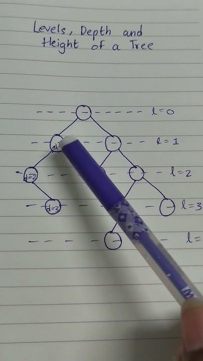 Levels, depth and height of a tree | Tamil | DSA - YouTube