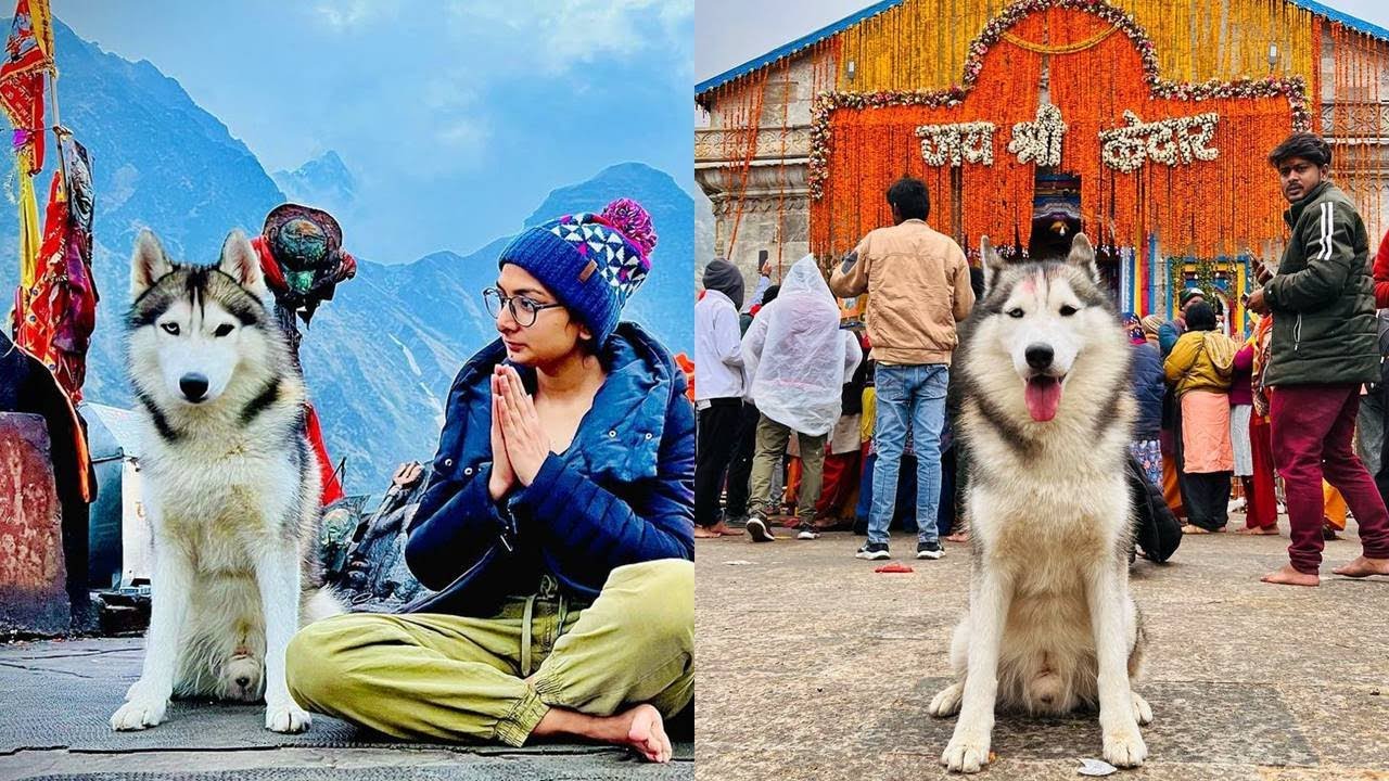 Taking Pet Dog to Kedarnath Temple | Nawab Tyagi | Husky India - YouTube