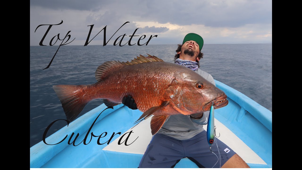 Cubera Snapper on TOP WATER. Part 1 - YouTube