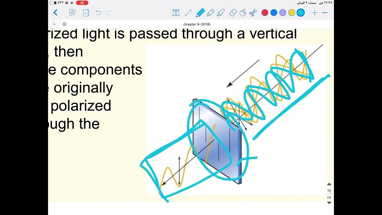 Physics Chapter 9 part (2/5) (Polarization, Liquid Crystal Display LCD ...