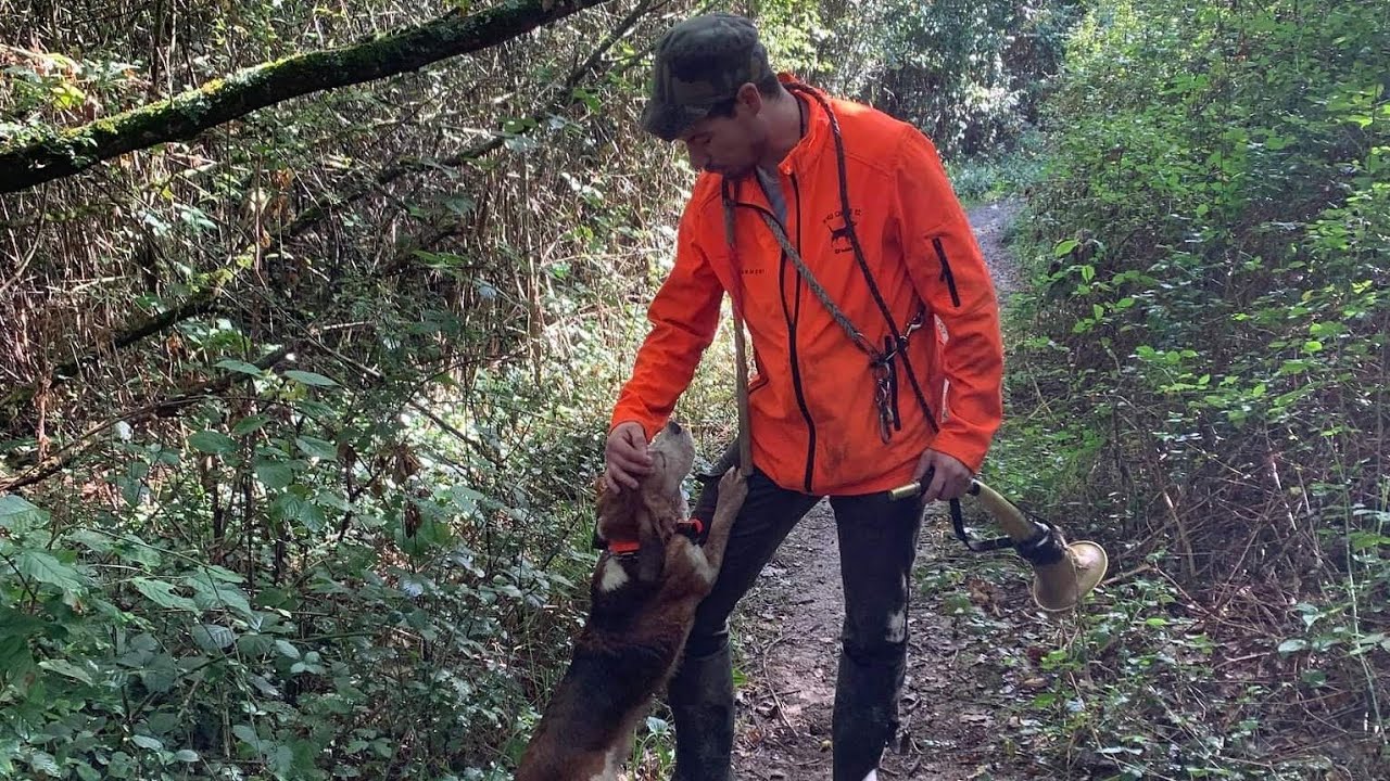 La chasse au sanglier une passion !!! Chasse aux sangliers 2021 ...