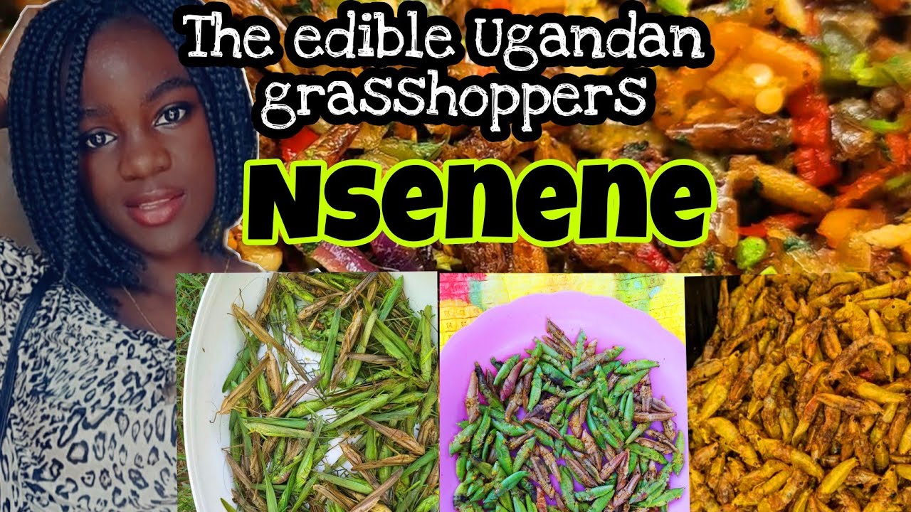 Ultimate Ugandan Nsenene experience - YouTube