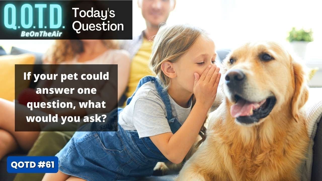 Question of the Day | Interview Your Pet! - YouTube