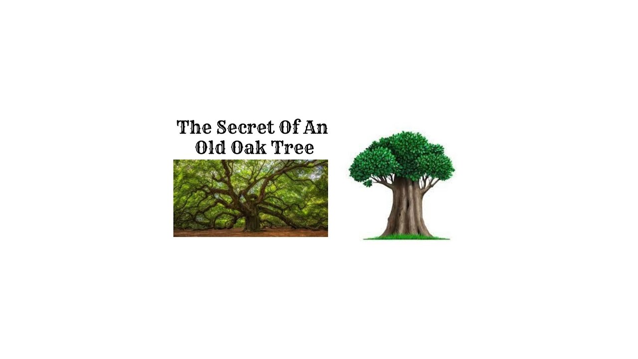 "The Secret Of An Old Oak Tree" Story In English || - YouTube