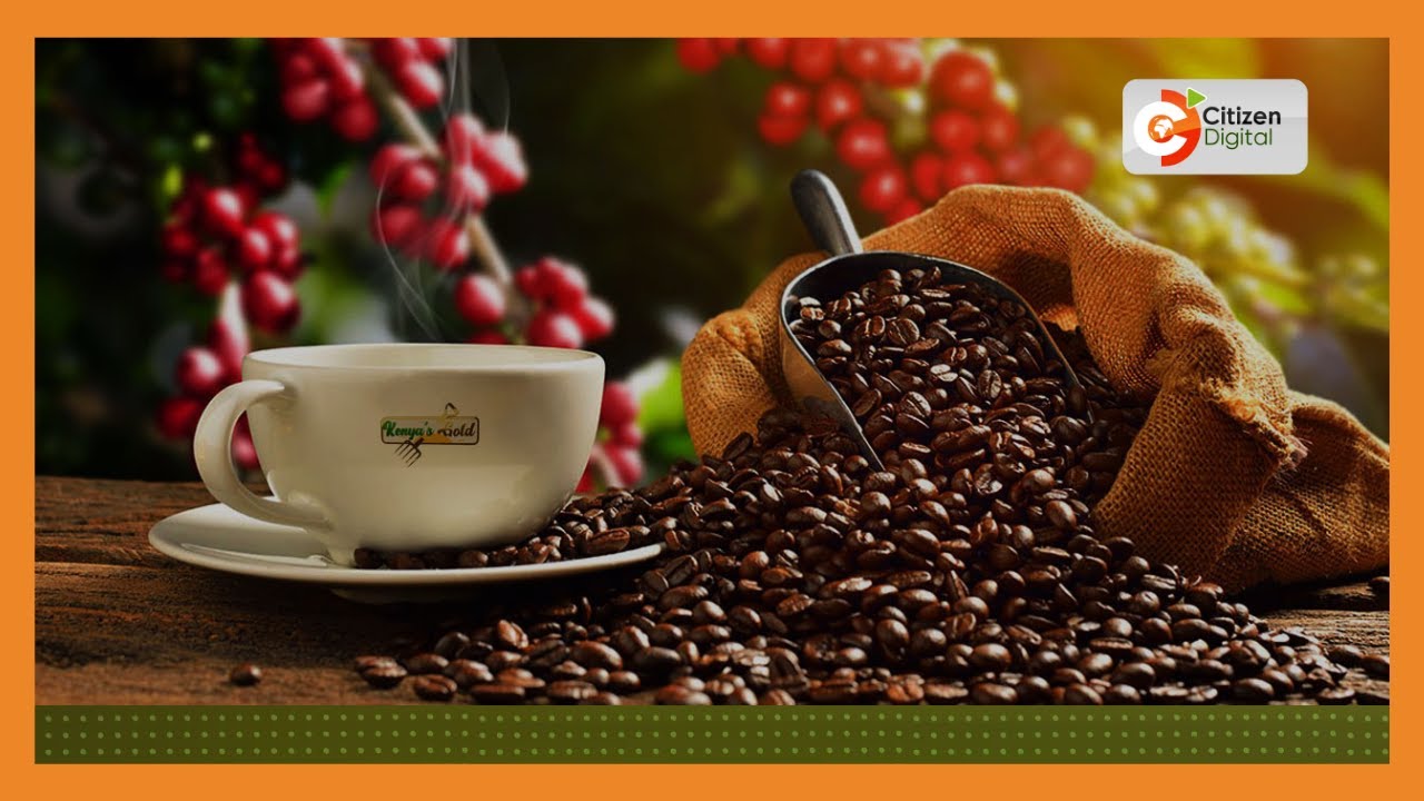 | Kenya's Gold | Coffee Pulping - YouTube