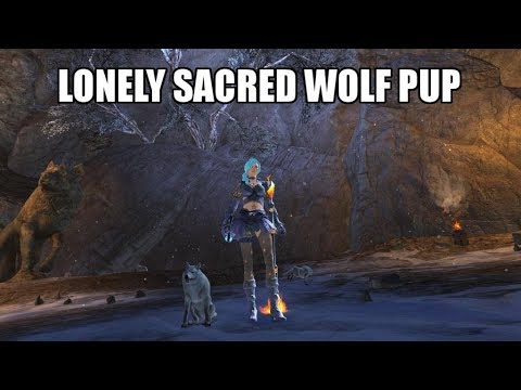 Guild Wars 2 Play with a Lonely Wolf Pup (Lonely Sacred Wolf Pup) - YouTube