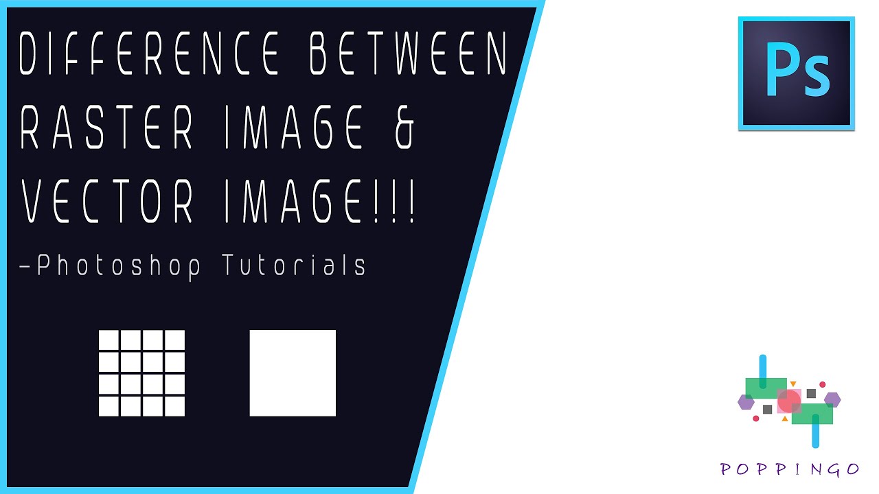 What is the Difference between a Raster Image and a Vector Image ...