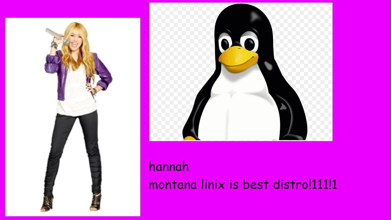Installing Hannah Montana Linux: The graphic designers' worst nightmare ...
