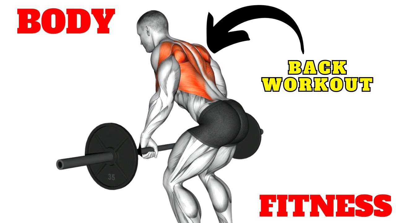 5 Big Back Exercises - Day 01 Back Workout - BODY FITNESS - YouTube