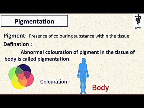Pigmentation in pharmacology | Types of pigment | Exogenous pigments ...