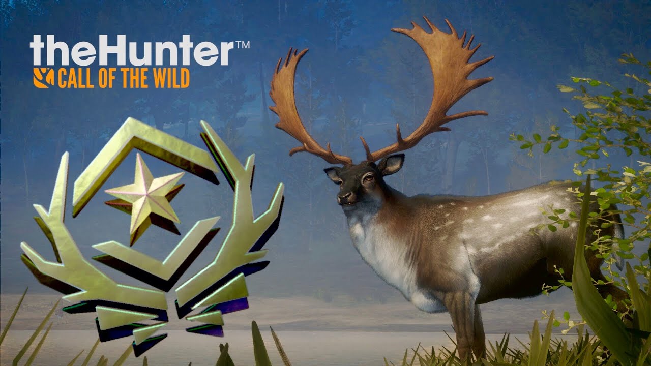 TAKING DOWN MY 5TH GREAT ONE FALLOW WITH THE 44. WILDCAT! THE LAST RACK ...