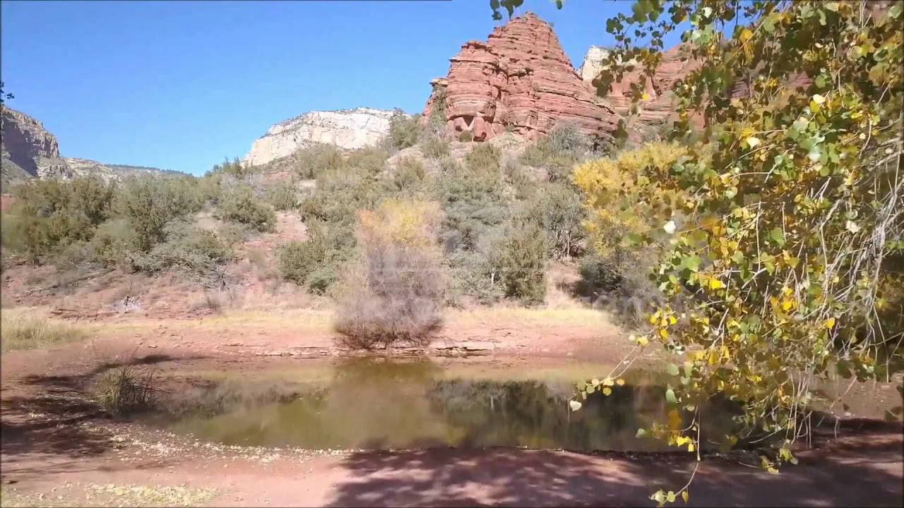 Pond in Desert with Birds - YouTube