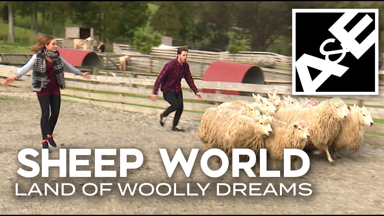 Sheepworld - Land of Woolly Dreams - YouTube